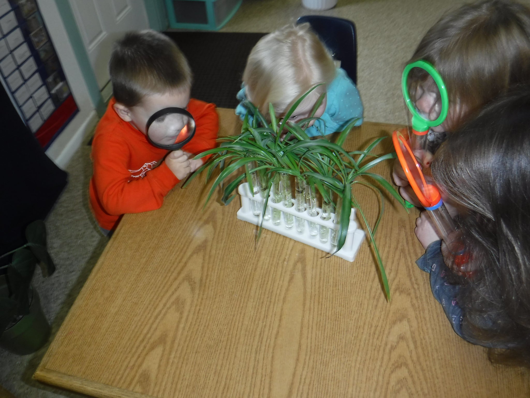 Eagle View Learning Center L.L. C.